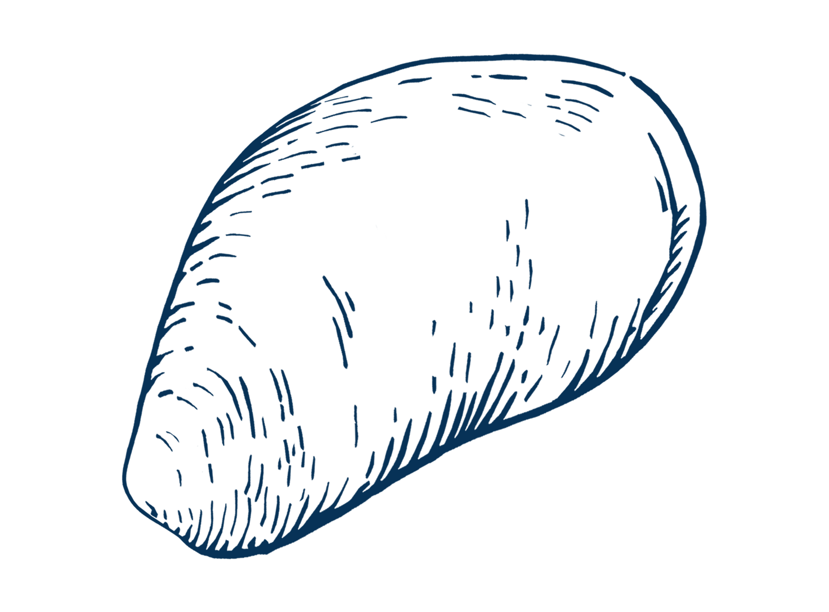 Deer Island Point | Dive Deeper