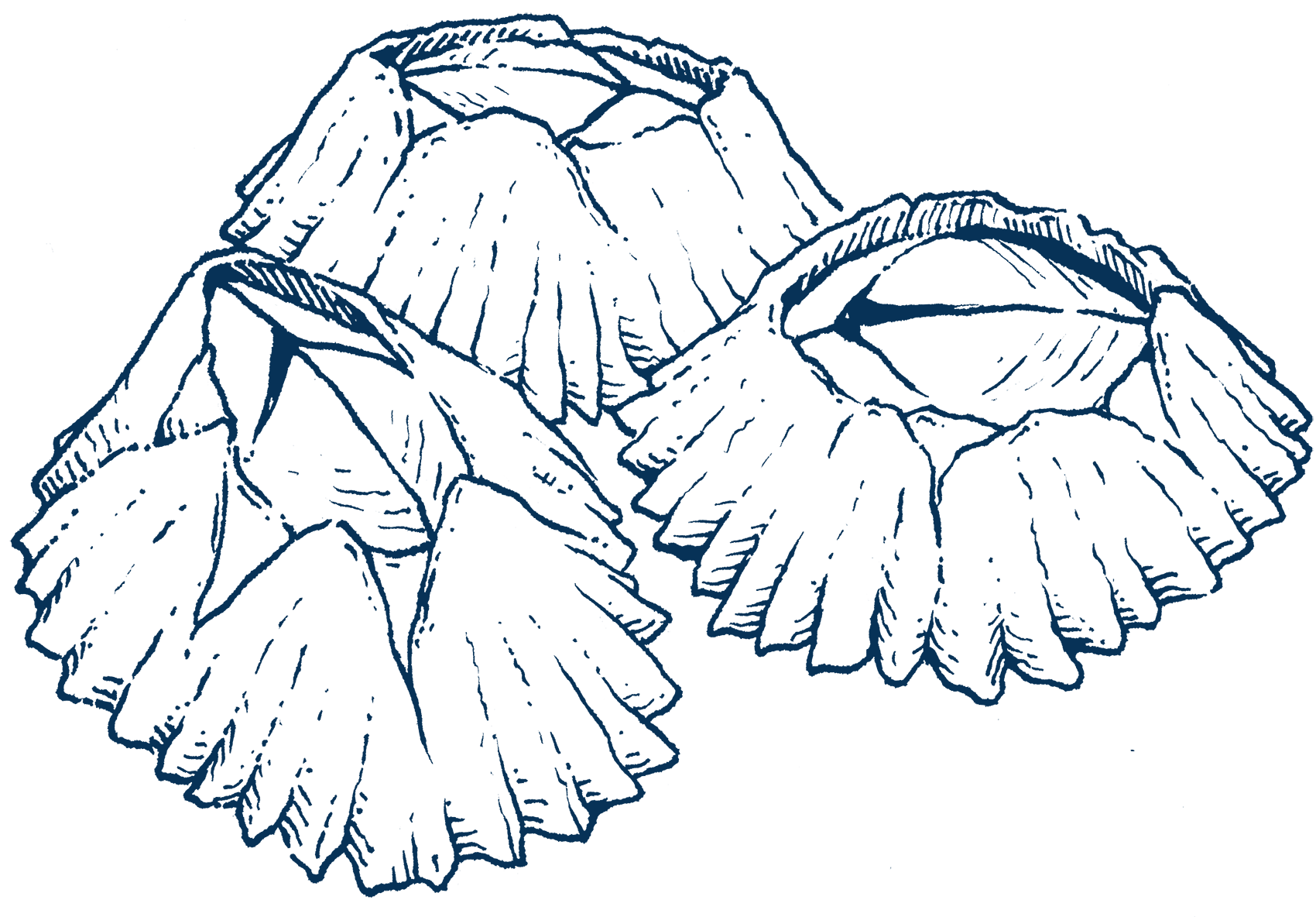 Green’s Point – Dive Deeper