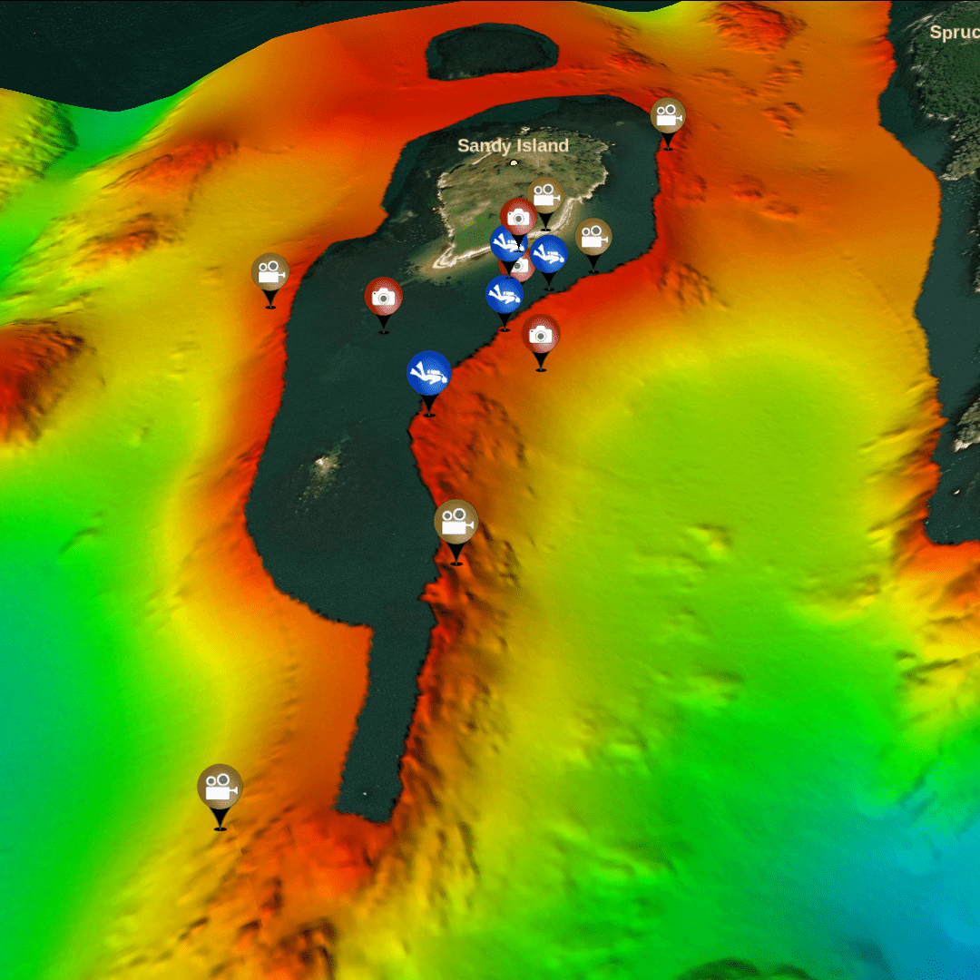 Sandy Island – Dive Deeper
