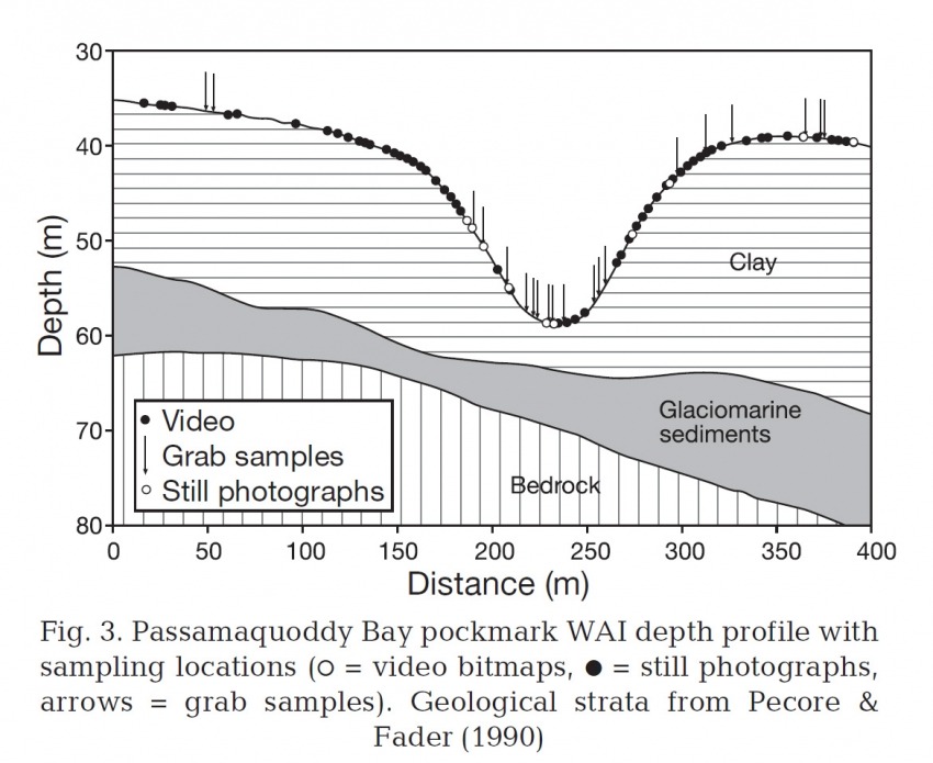 Passamaquoddy Bay Pockmarks – Dive Deeper