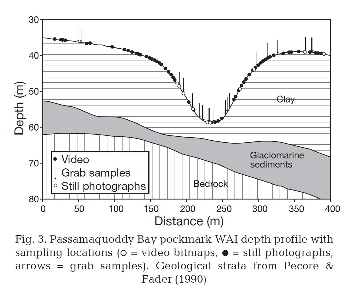 Passamaquoddy Bay Pockmarks – Dive Deeper