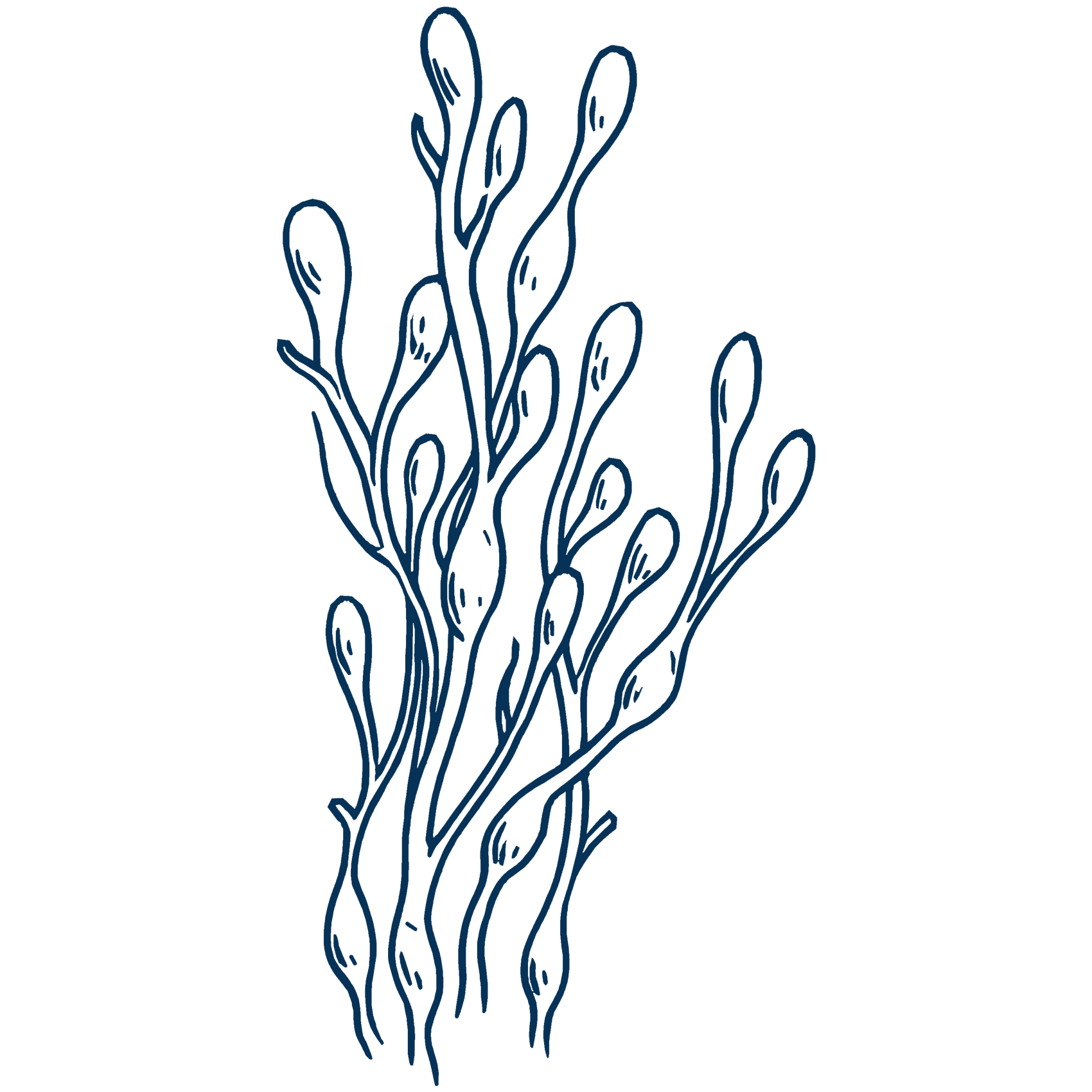 Green’s Point – Dive Deeper