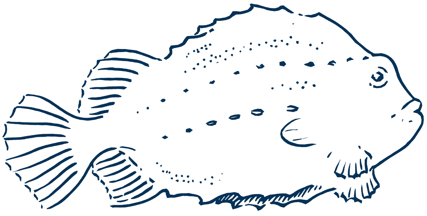 Sandy Island – Dive Deeper